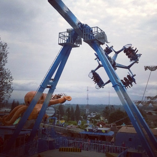 Celebrate Year's Of Horse At FUNLAND