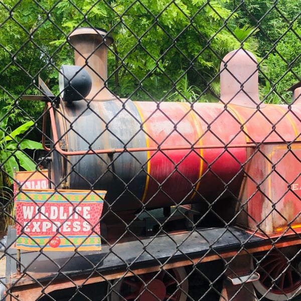 Wildlife Express Train - 8 tips from 1563 visitors