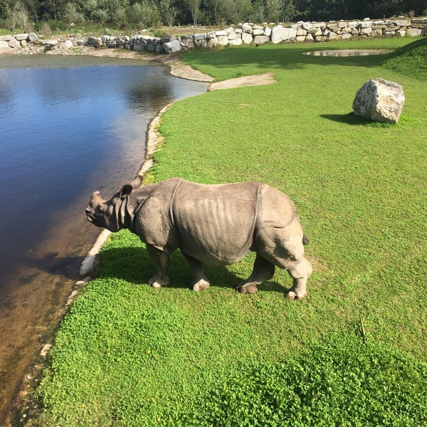 Photos at Fota Wildlife Park - Zoo