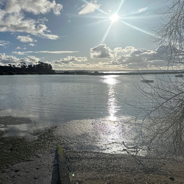 Westmere Park - Westmere - 36 Westmere Park Ave