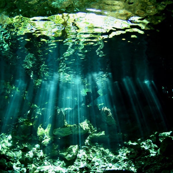 Cenote Dos Ojos - River in Tulum