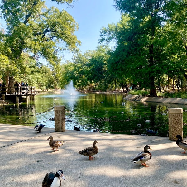 Trinity Park Duck Pond - 8 tips