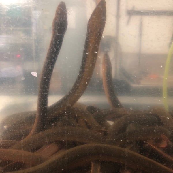 Photos at ABC Seafood - Fish Market