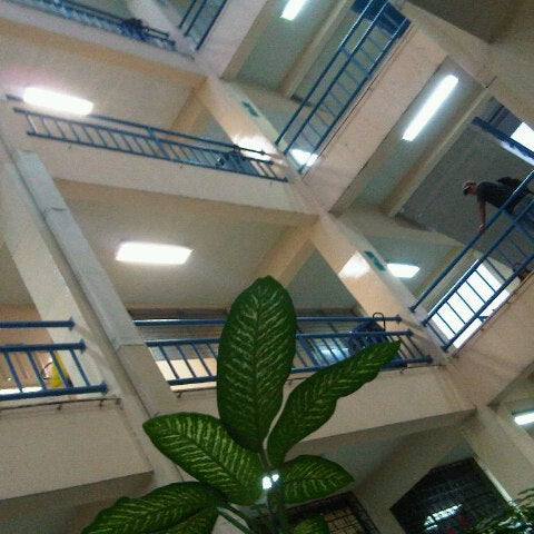 Universidad Francisco Gavidia - University