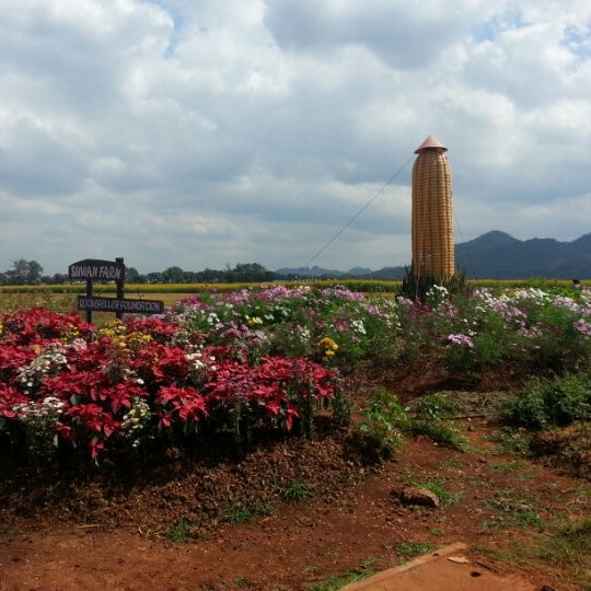 ไร่สุวรรณฯ (Suwan Farm) - 298 Moo 1, Mittraphap Rd