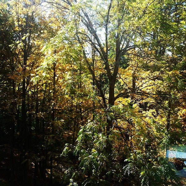 Frank H. T. Rhodes Hall - 4 tips from 246 visitors