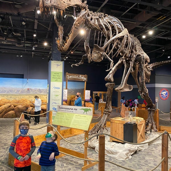 Photos at Orlando Science Center - 84 tips