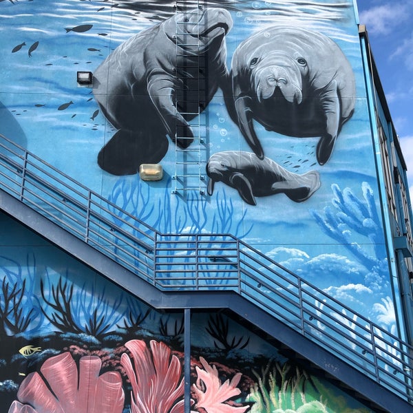 Mermaid Gift Shop - Souvenir Store in Kissimmee