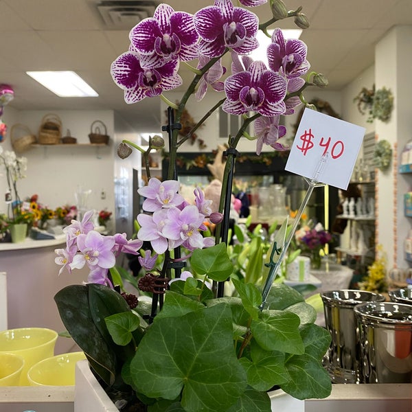 Joy Florist - Flower Store in Aurora