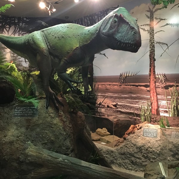 Rotunda Museum - History Museum in Scarborough