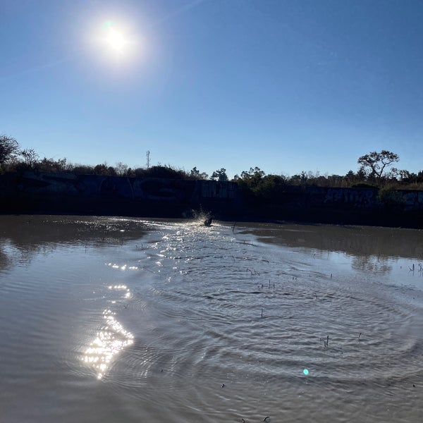 Parque Tarango (Reserva ecológica) - 1 tip from 4 visitors
