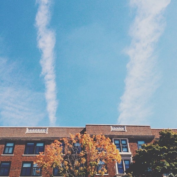 Couzens Residence Hall - Central Ann Arbor - 3 tips from 238 visitors