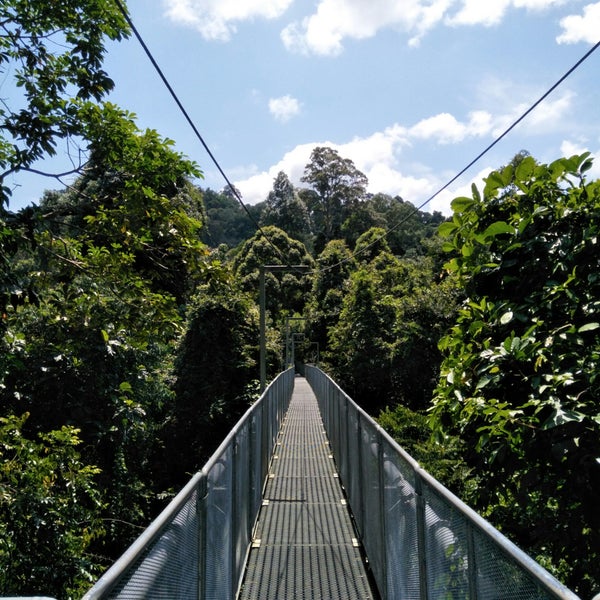Kulim Tree Top Walk