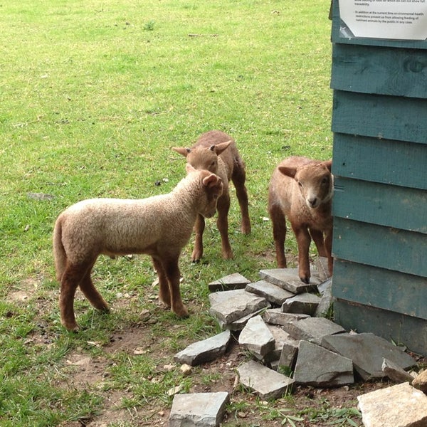 Photos at Freightliners City Farm - Farm in Holloway