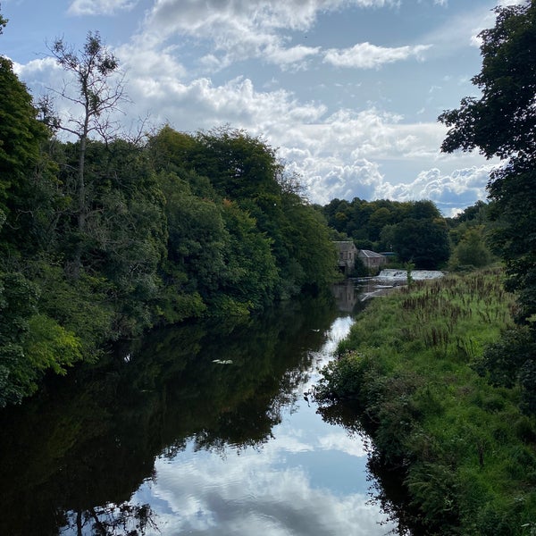 Pollok Country Park - South Side - 20 tips