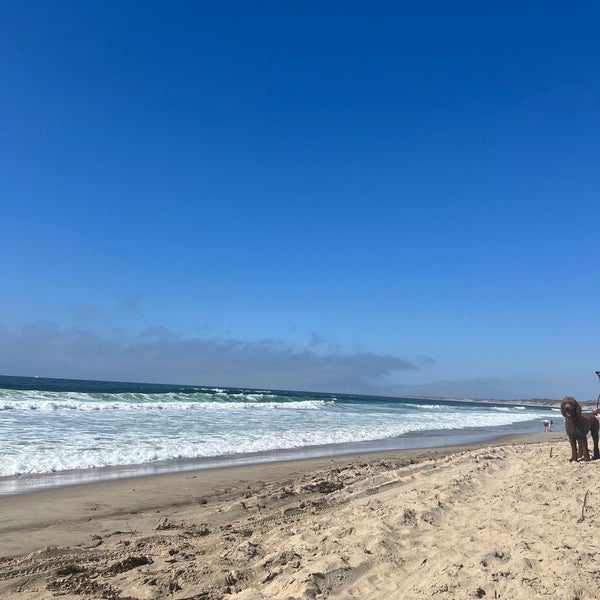 Del Monte Beach - Monterey, CA
