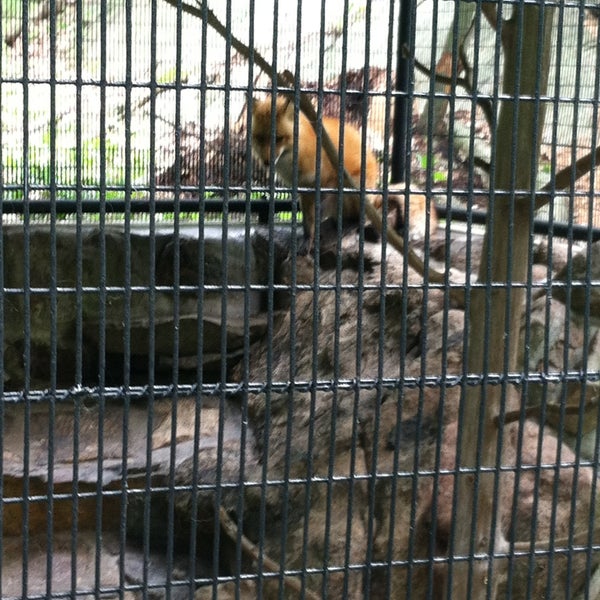 Photos at Bear Mountain Zoo and Trailsides Museum - 18 tips from 1038 ...