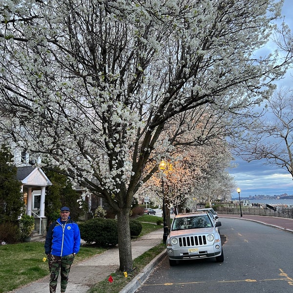 Cliffside Park, NJ - 8 tips from 1505 visitors