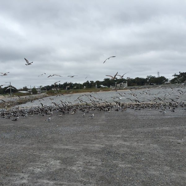 Washington Street Pier - Pier