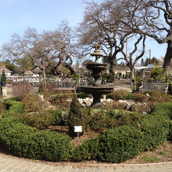 Photos at Alden Lane Nursery - Livermore-Pleasanton, CA