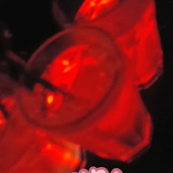 Crocker Bar - 40 tips