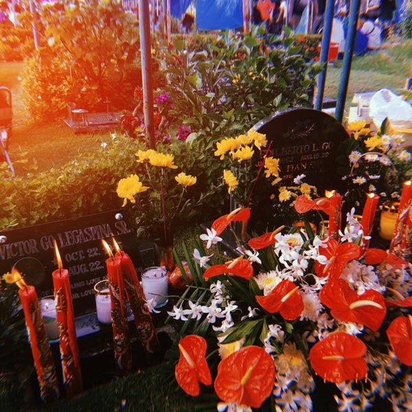 Queen City Memorial Garden Cebu Contact Number | Fasci Garden