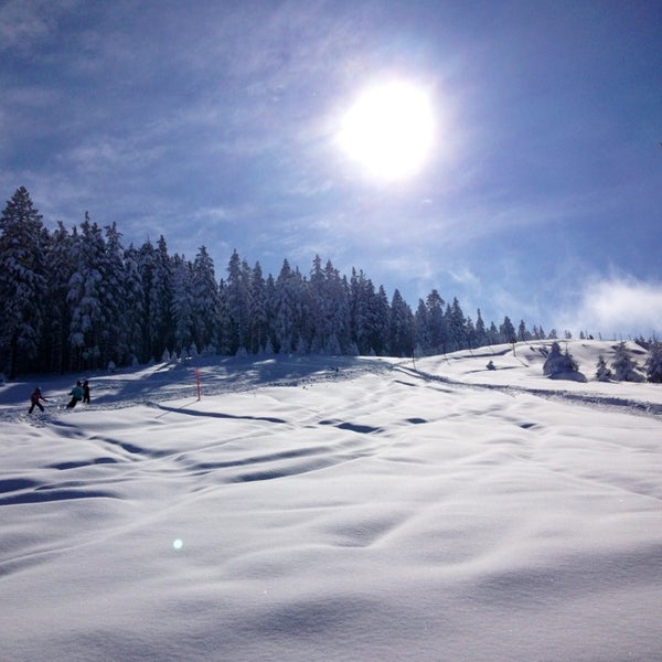 Rogla - 11 tips from 807 visitors