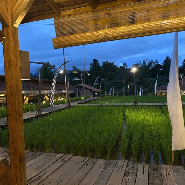 Ngopi Di Sawah - Café