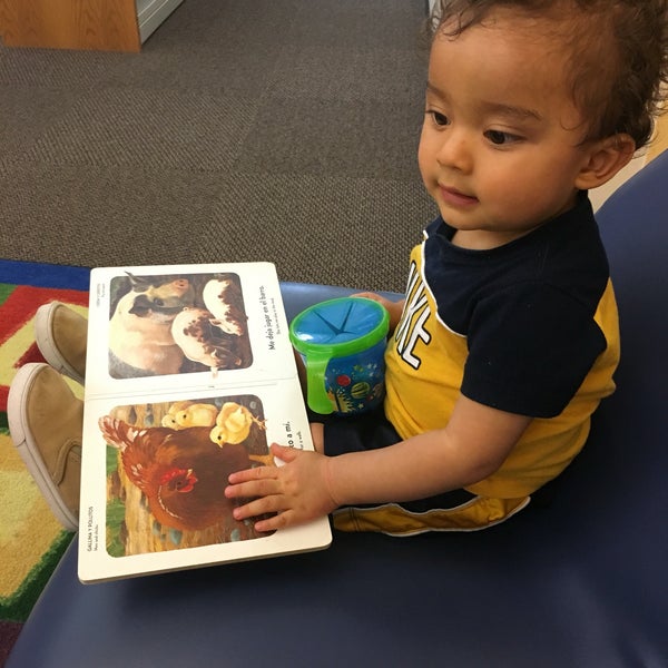 Carrollton Public Library - Josey Ranch Lake - 1700 Keller Springs Rd