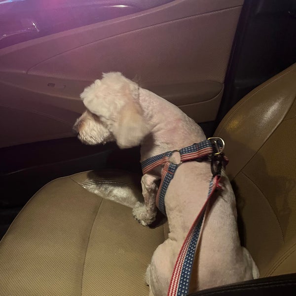 Tony Pet Shop | پت‌ شاپ تونی - بلوار امامت، نبش خیابان دیانت (بهنق ۲)