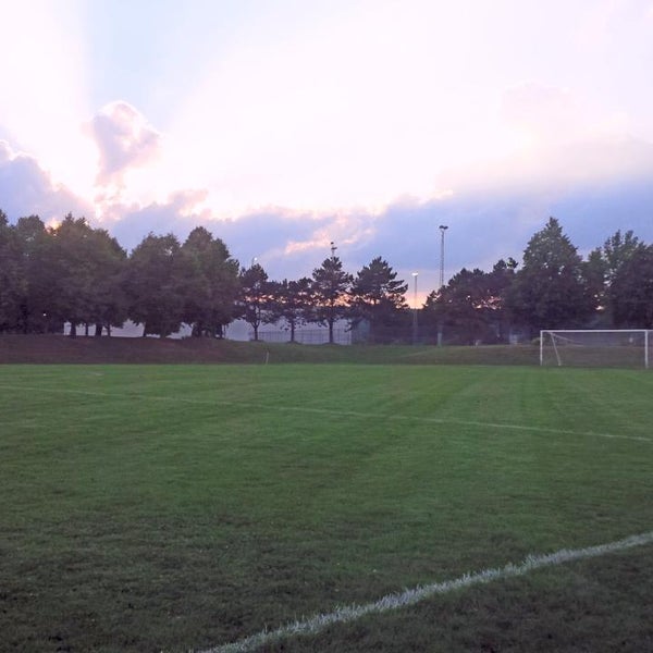 Budd Park - Field