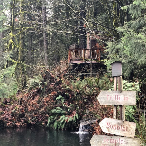 Photos at Treehouse Point - Bed & Breakfast in Issaquah
