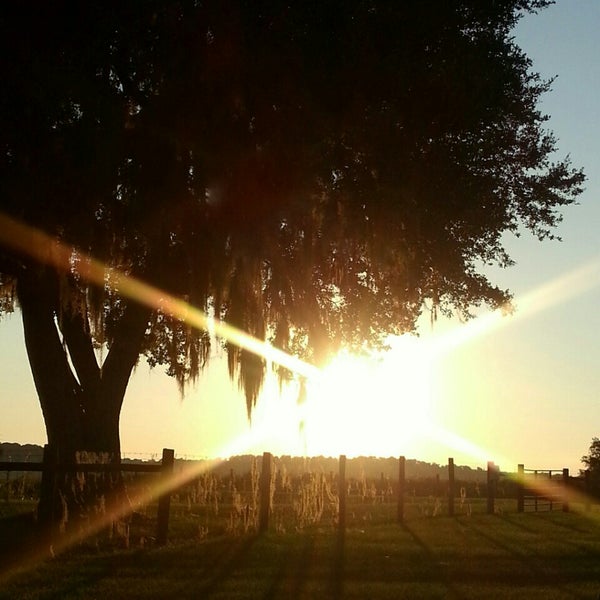 Alligator Lake Recreation Area - Lake City, FL