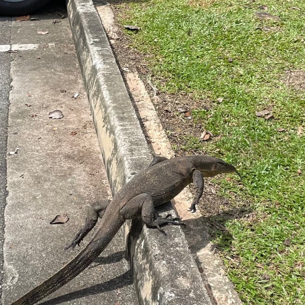 Labrador Nature Reserve - Park in Central Region