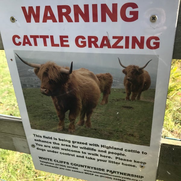 Warren Country Park - 1 tip