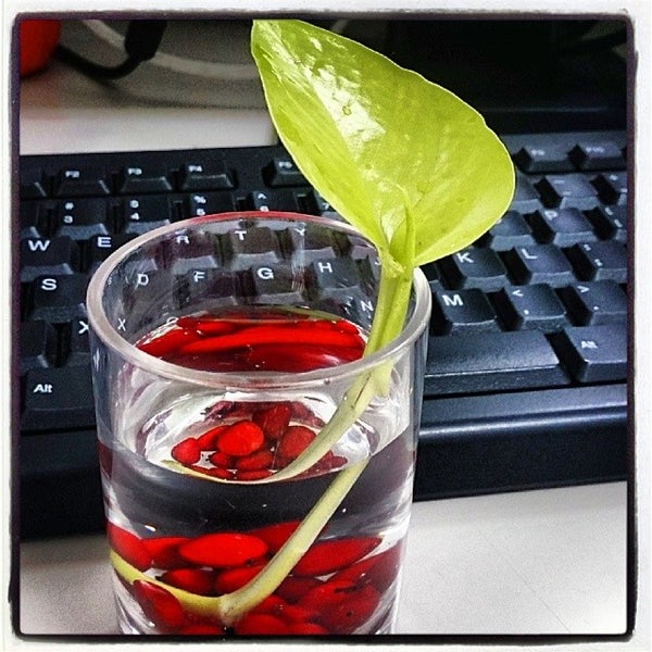 Photos at PT. Arpeni Pratama Ocean Line Tbk. - Jakarta Pusat - Jakarta ...