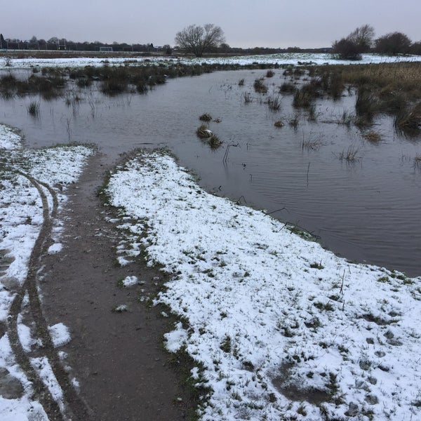 Doxey Marshes Nature Reserve - 1 tip