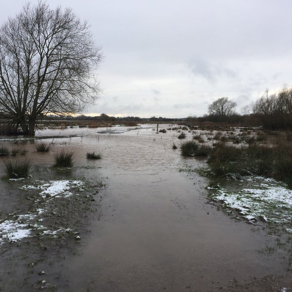 Doxey Marshes Nature Reserve - 1 tip