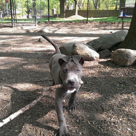 Bent Tree Dog Park - 33 visitors