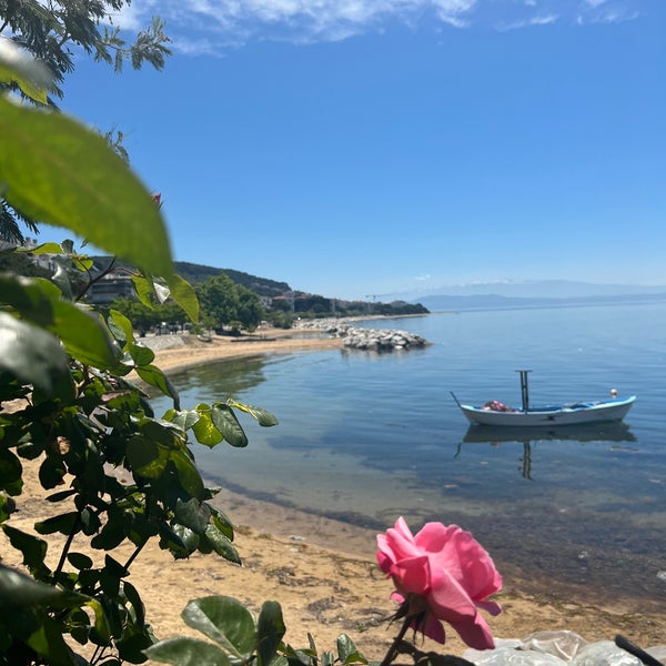 Armutlu Yilan Koyu Plaji