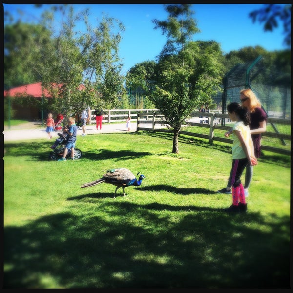 Photos at Fota Wildlife Park - Zoo