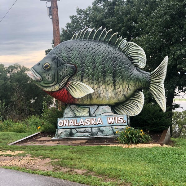 Sunny The Sunfish - 70 visitors
