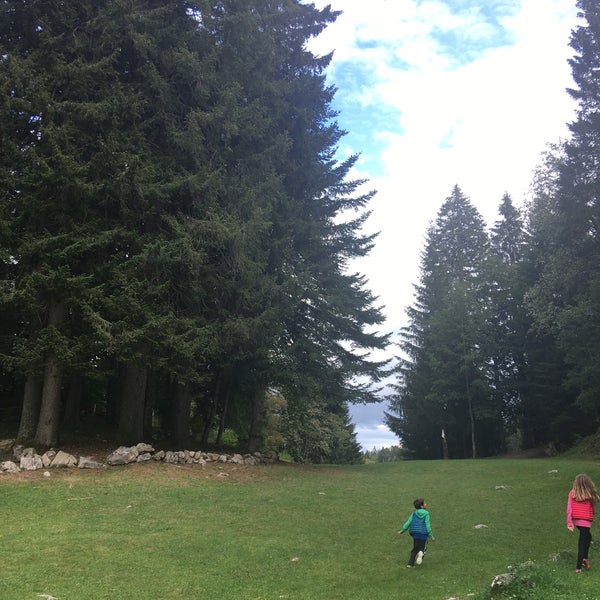 Restaurant de Basse Ruche - Swiss Restaurant in Saint-Cergue