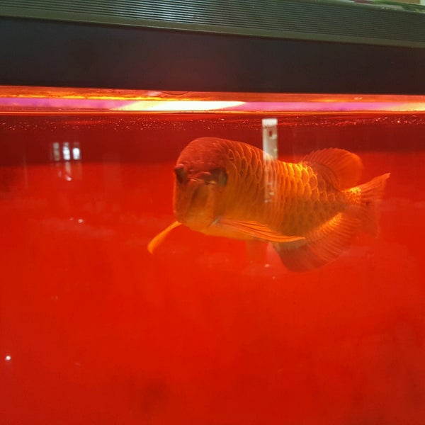 RM Garuda - Padangnese Restaurant in Medan