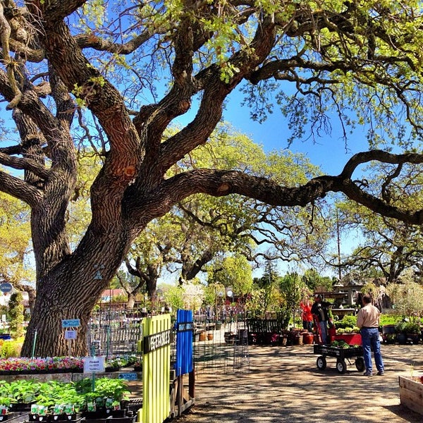 Photos at Alden Lane Nursery - Livermore-Pleasanton, CA