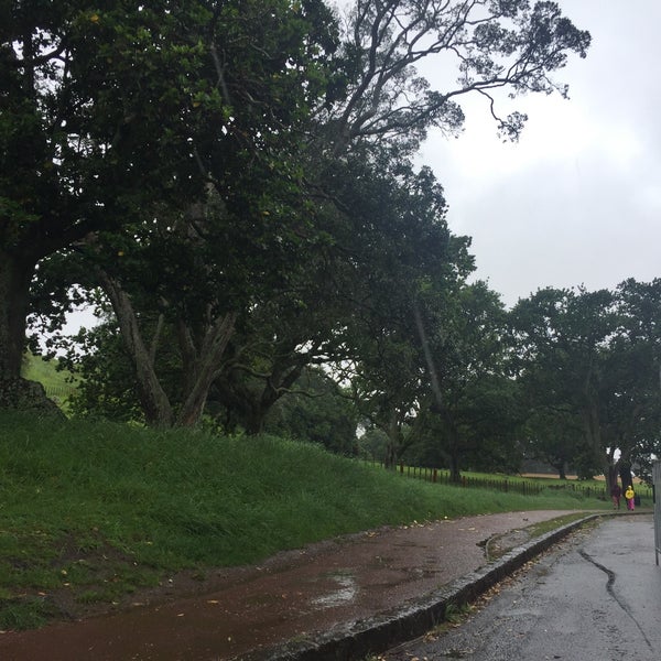 One Tree Hill Domain - Park