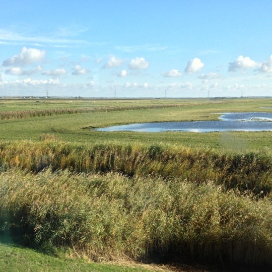 Welney Wetland Centre - Nature Preserve