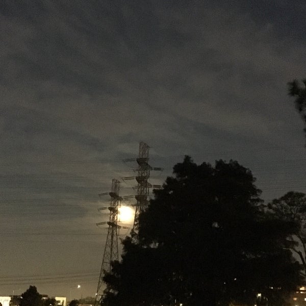 Braes Bayou Trail - 4 tips