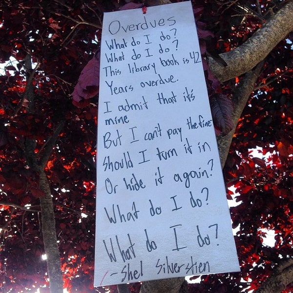 Photos at Terman Middle School - Palo Alto, CA