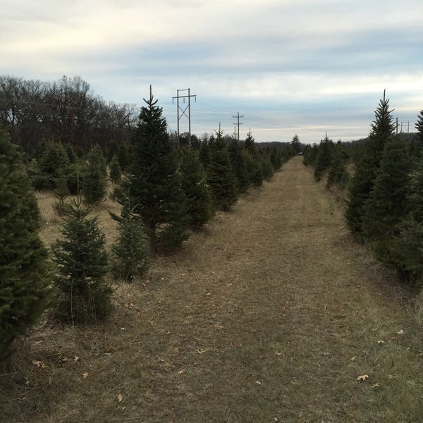 Rudolphs Christmas Trees - Royalton, MN